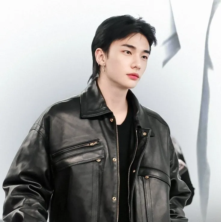 A‌I chat|1v1 Chat with Character Hwang Hyunjin for Free Personalized ...